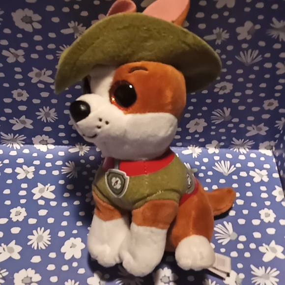 Ty | Toys | Ty Beanie Tracker | Poshmark